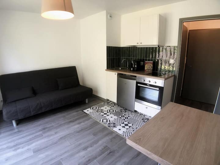 Charmant Studio En Rez De Jardin - Strassburg