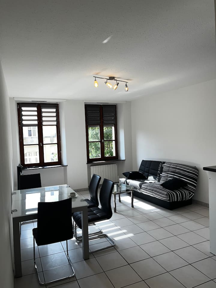 Appartement F2 / 50m2 / 1ère éTage / ÉQuipé - Saint-Avold