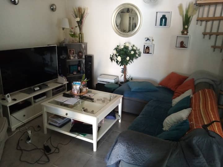 Agréable Maison De Ville - Le Mans