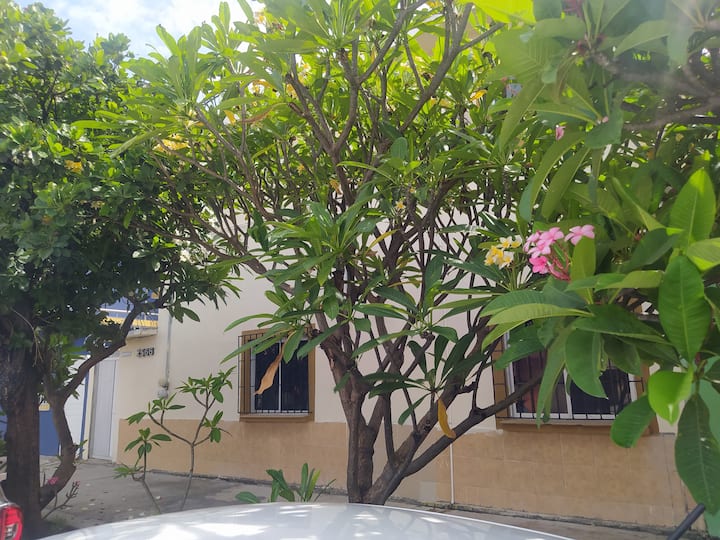 Hermosa Casita Con Patio Compartido - 1. - Veracruz, México