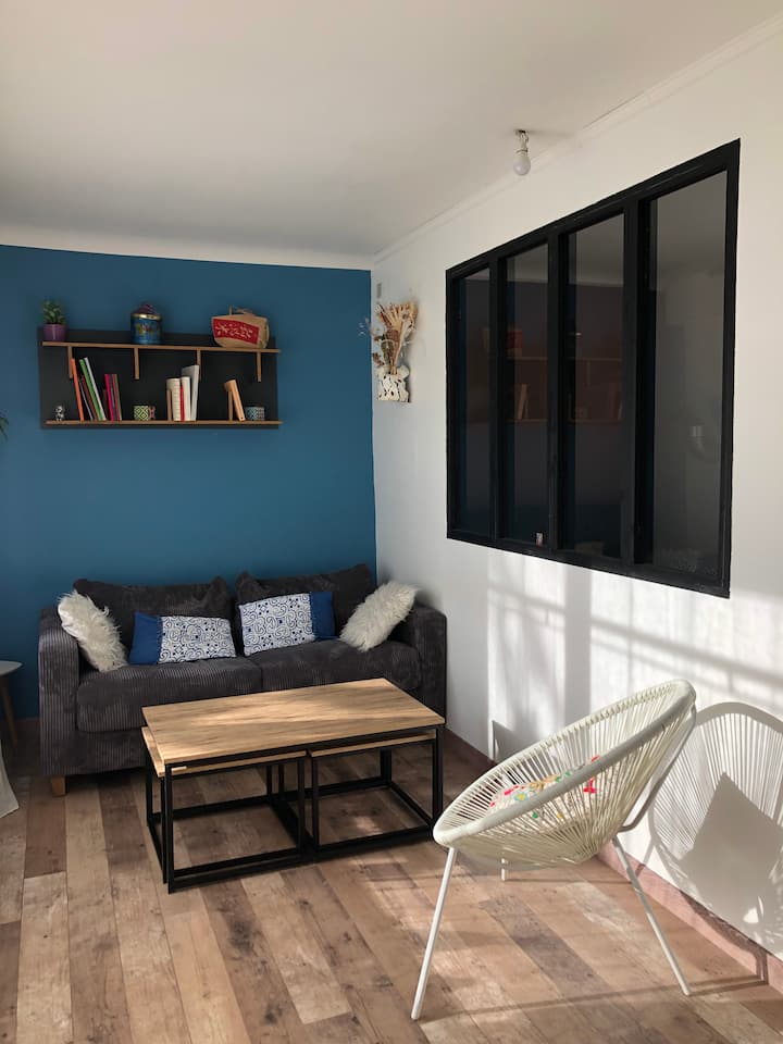 Appartement Entier De 39m2 Centre Annecy - Seynod