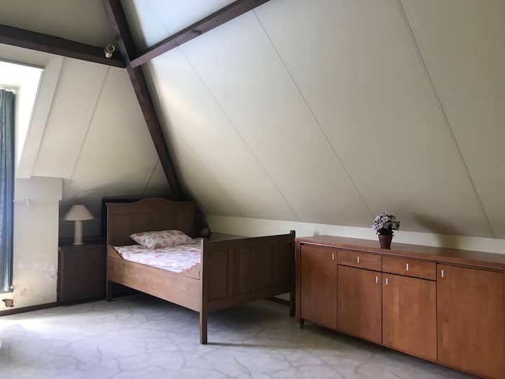 Estado  ( 3 )     (Ook Voor Paarden) - Turnhout