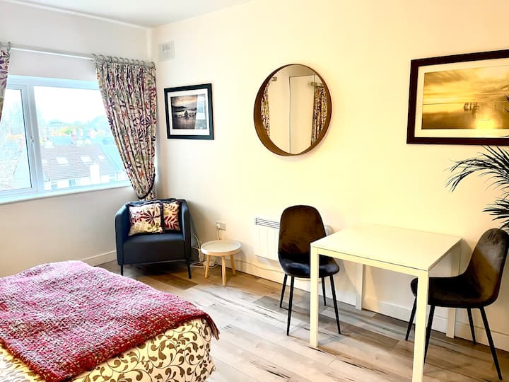 Private Top Floor Studio Apartment In Donnybrook - Dublín