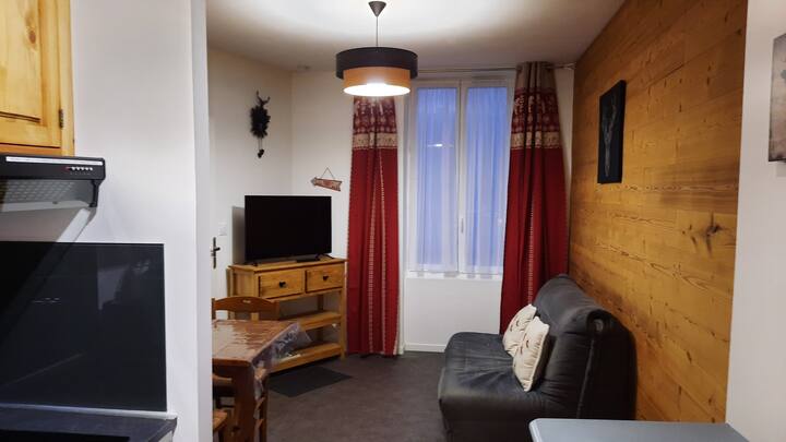 Studio 18 M² 2 Pers Et 1 Enft/ Sancy / Mont Dore - Puy de Sancy