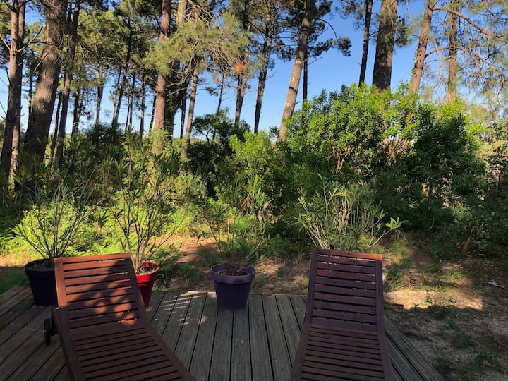 Maison Contre La Forêt De Pins - Moliets-et-Maa