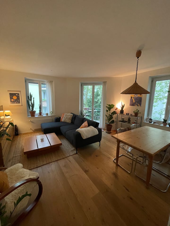 Lovely Apartment In Urban Area - 蘇黎世