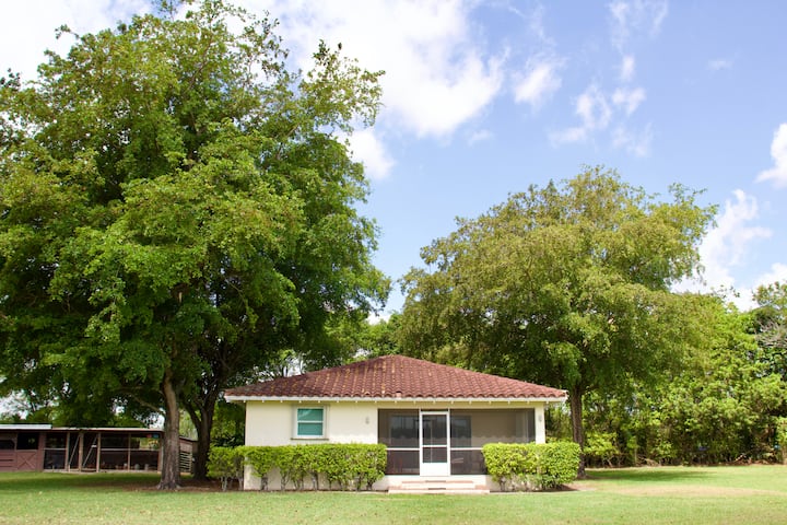 Private Guest House In Horse Ranch Haven In Miami - South Lake, Miami