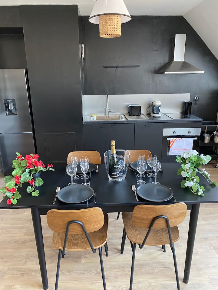 E Centre Ville Professeur Langevin Spacieux Cosy - Épernay