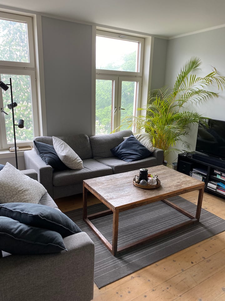 Private Room In Apartment In Grünerløkka (A) - Oslo