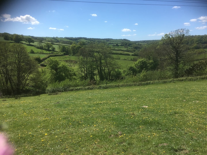 Tent & Campervan Pitches In Glorious Countryside - Honiton