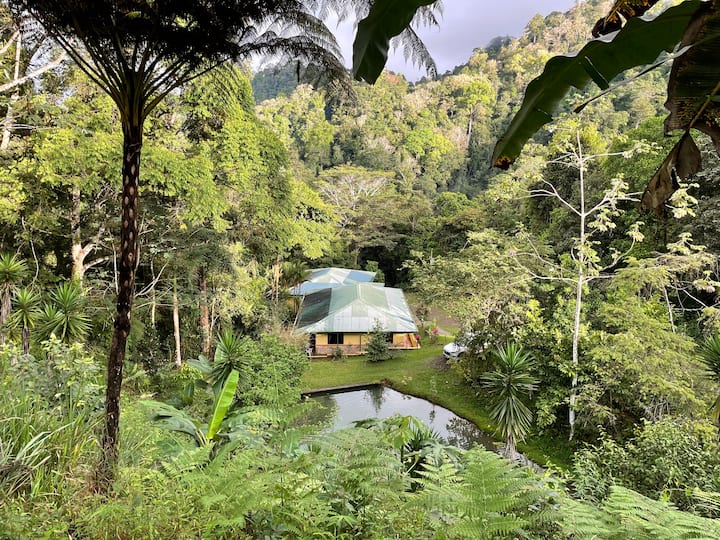 Jungle/mountain Getaway - Palmar Norte