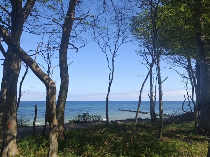 Przestronne Mieszkanie 800m Od Morza - コウォブジェク