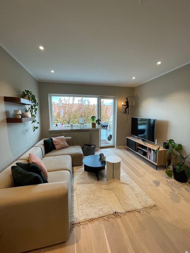 Koselig Leilighet Sentralt På St.hanshaugen - Oslo