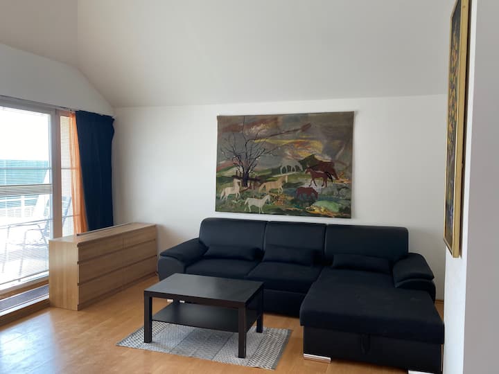 Bright Condo In The Very Center Of Old Town - Bratislava