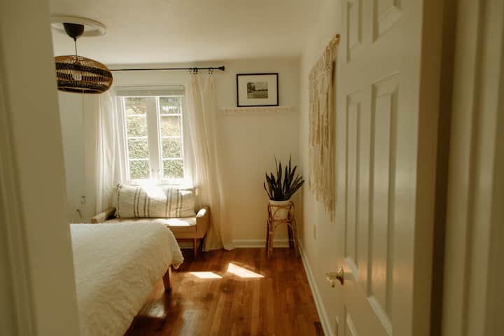 Bright Urban Duck Farm Between Airport & Stadiums - Seattle, WA