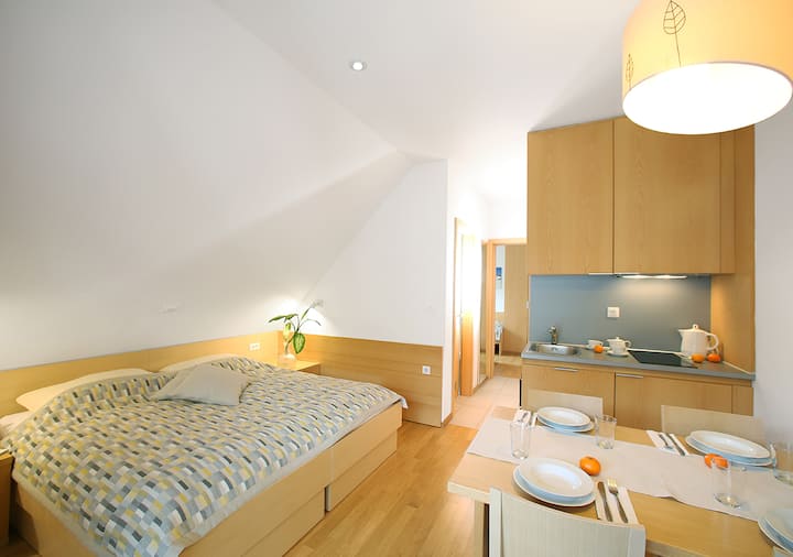 Apartments Bernik Family Suite In City Center - Kranjska Gora