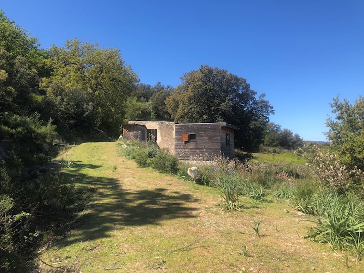 Petite Maison En Pleine Nature - Korsika