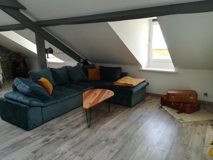 Appartement De Charme En Plein Centre-ville - Chambéry