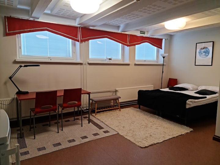 Apartment Puistokatu Large - Savonlinna
