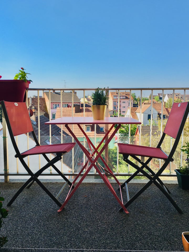 Lumineux Appartement T2 Avec Terrasse Plein Sud - Strasbourg