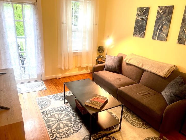 Carytown Charmer / Cute Luxury Condo - Richmond, VA