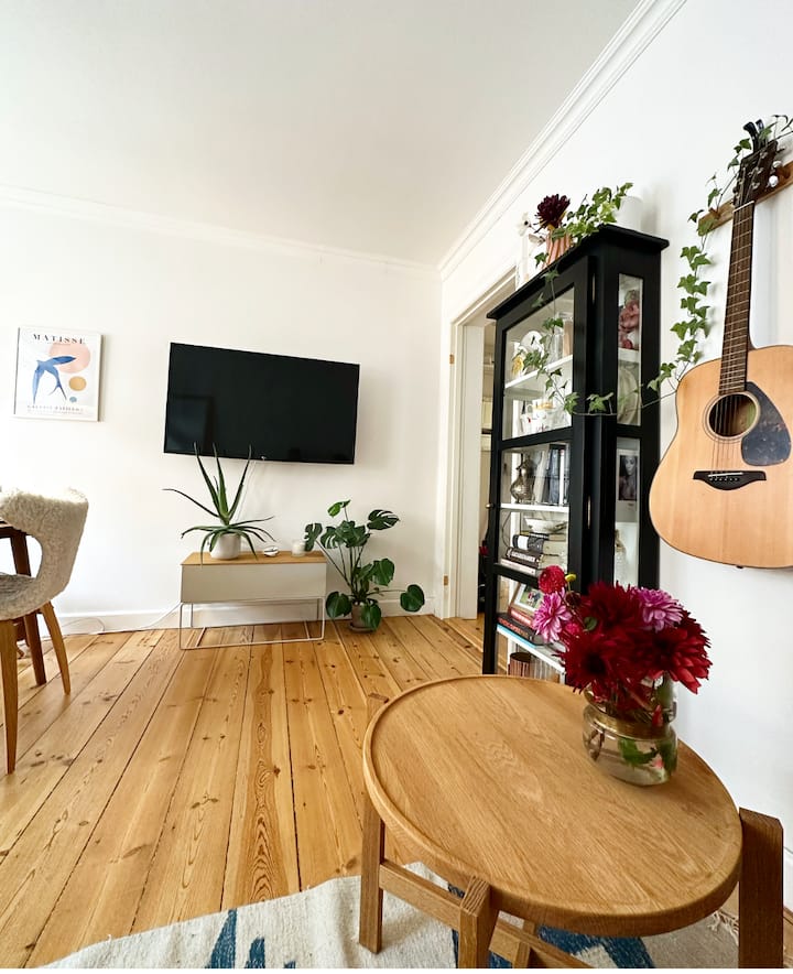 Hyggelig Lille Københavner Lejlighed! - 