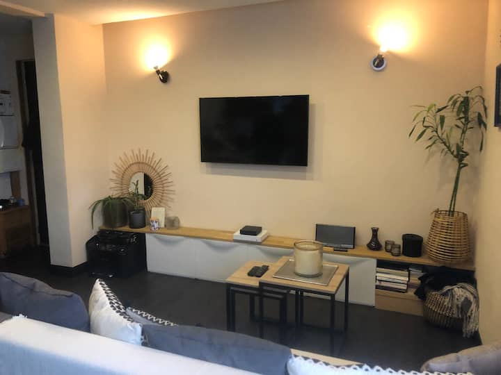 Appartement Au Pays Du Mont-blanc - Sallanches