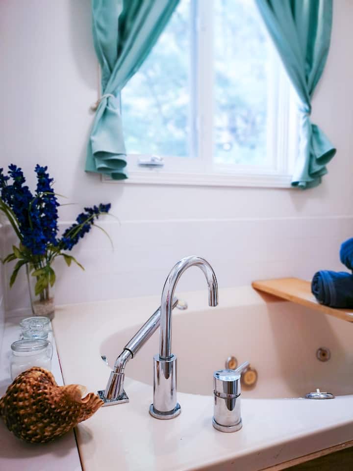 Maison 4 Chambres Avec Spa Et Immersion Nature - Sherbrooke