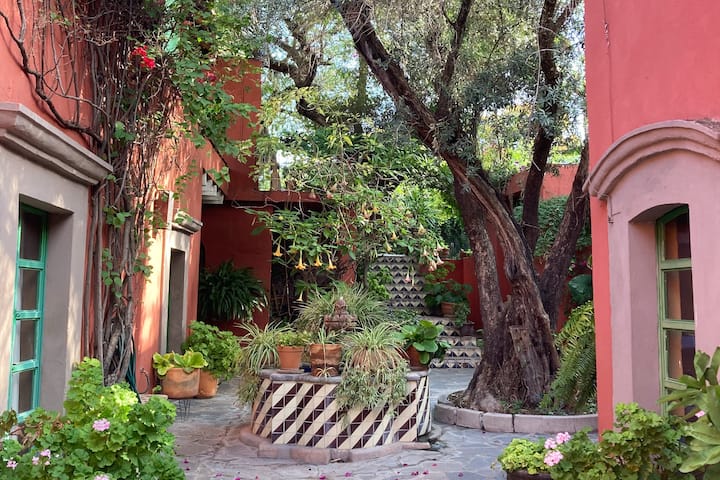 El Centro With Light, Color, Gardens & Cook. - San Miguel de Allende