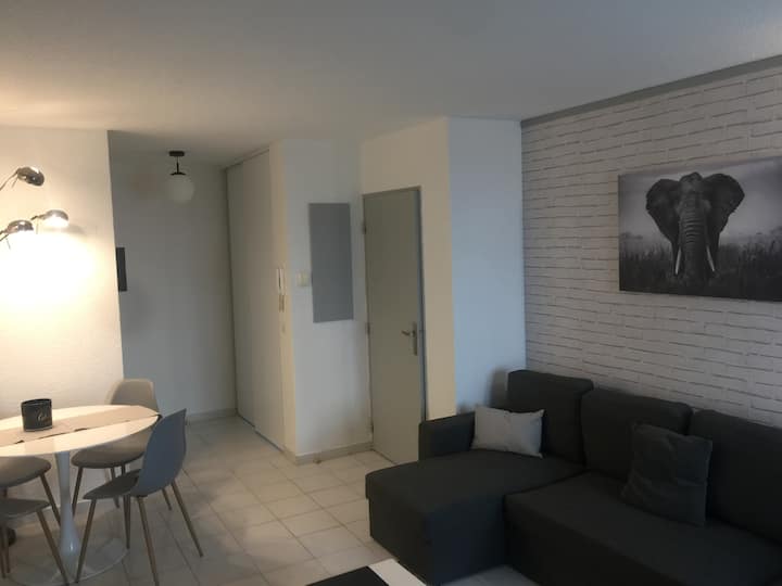 Superbe Appart Rénové Avec Place De Parking Privé - Aviñón