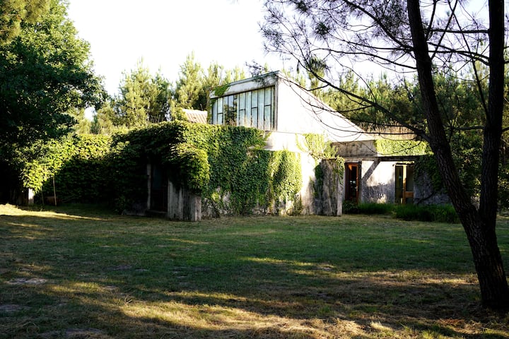 Maison De Vacances Dans La Forêt - Lit-et-Mixe