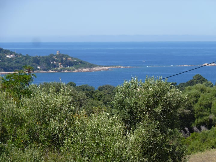 Casetta à Campo Scorza - Calcatoggio