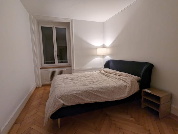 Spacious Room In City Centre - Zúrich