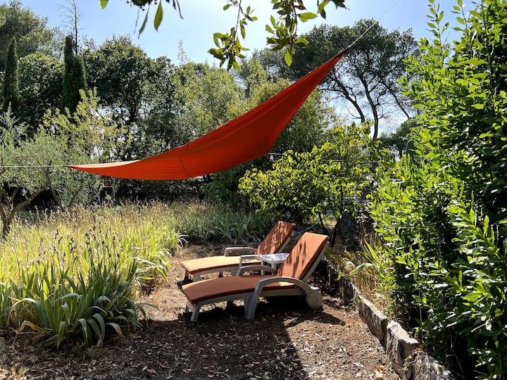 "Les Pauses", Mazet Avec Terrain Privé De 3000m2 - Nîmes