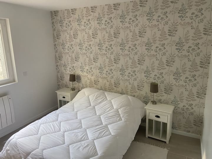 Chambre Cosy Avec Salle De Bain Privative - Cugnaux