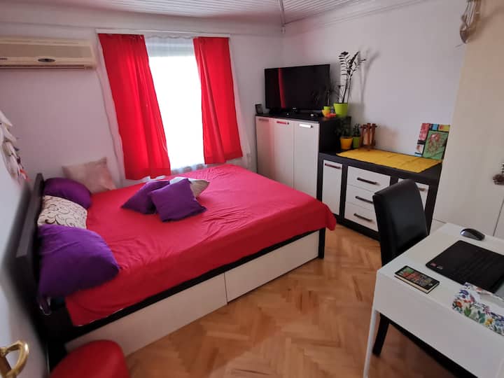 Astra - Comfy Room Close To The City Center ! - Serbia
