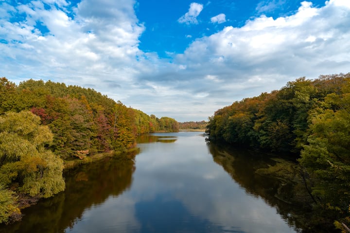 Walk To Cafe Or Bar | Kayak+bike *Near Dunes - Pentwater, MI