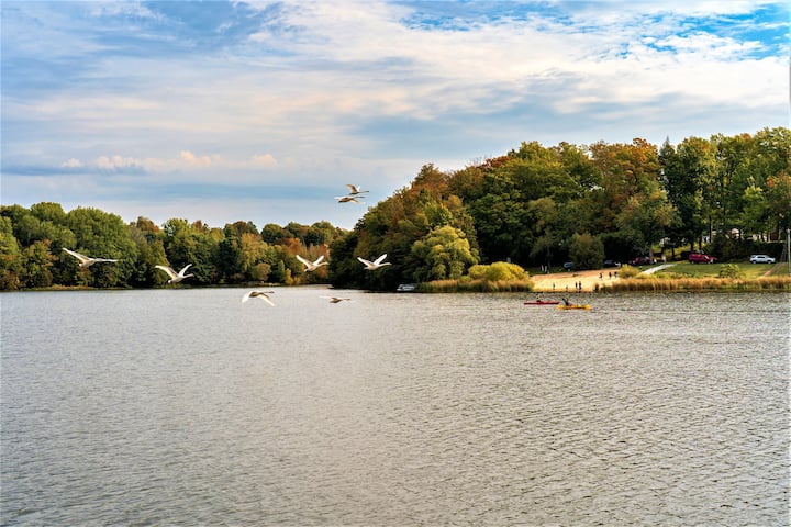 Stunning Views Near Dunes |Walk To Shops & Cafe - Pentwater, MI