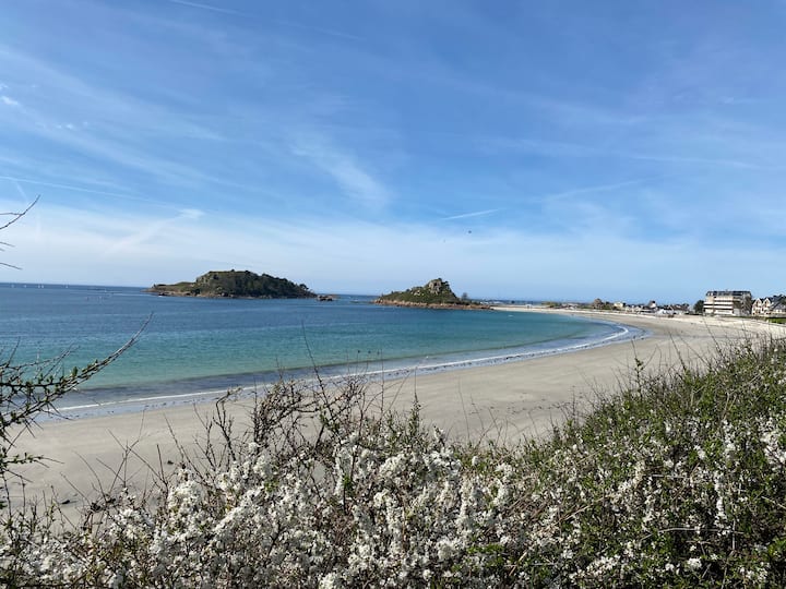 Grand Studio Neuf Proche Plages, à Trebeurden - Trébeurden