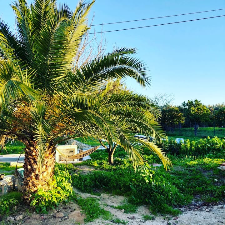 Casa De Campo Com Piscina E Horta Biológica - Cartaxo