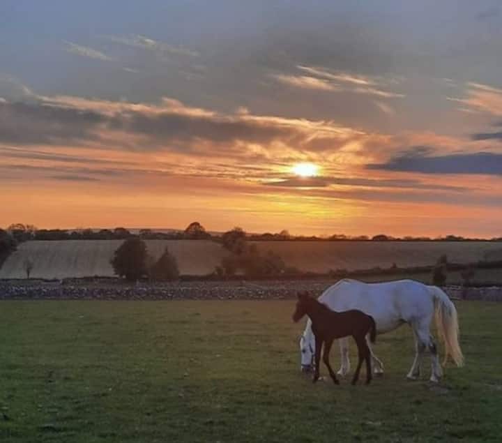 Greenacres Mews
A Charming,quaint Cottage - Ierland