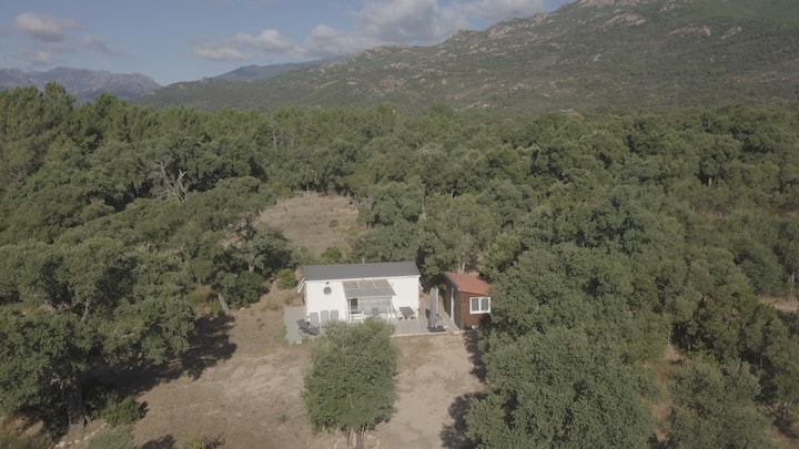 Logement Pour Les Amoureux De La Nature - Porto-Vecchio