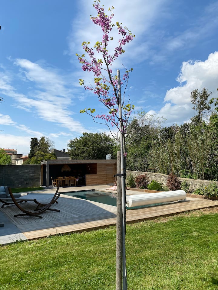 Centre Ville/cité Médiévale/piscine Chauffée - Carcassonne