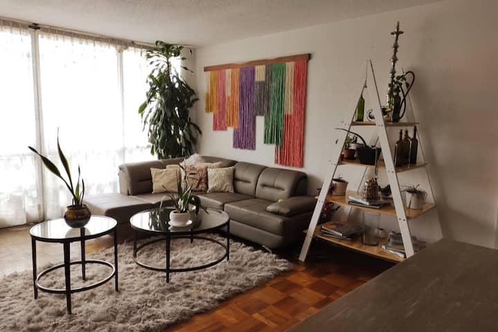 Spacious Individual Room In Nápoles - Mexique