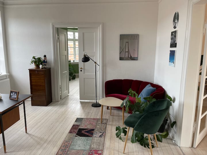 Spacious Appartment In Central Odense - Odense