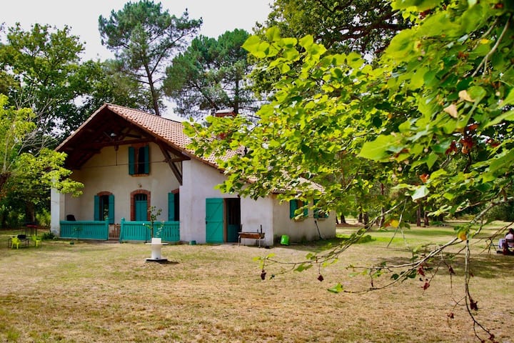 Gite Au Coeur De La Fôret - Landes