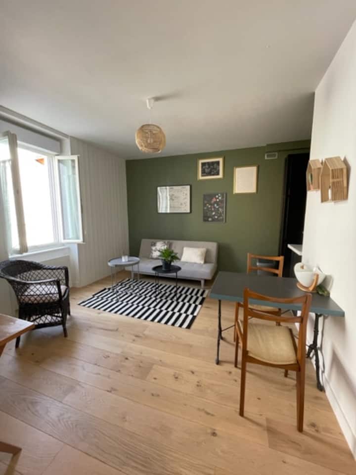 Joli Appartement Avec Terrasse à Périgueux - Périgueux