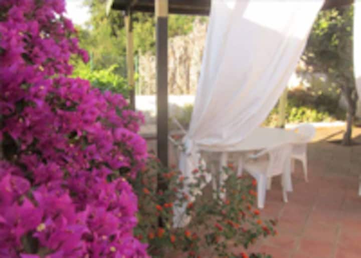 Villetta Apt Fico Giardino E Piscina A Capoliveri - Capoliveri