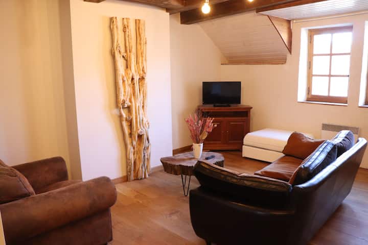 "La Joux", Joli Duplex Au Centre D'arbois - Arbois