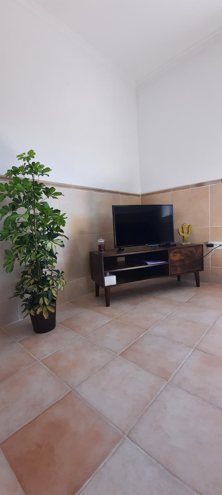 Alegria "Finca La Sonrisa" - Sax